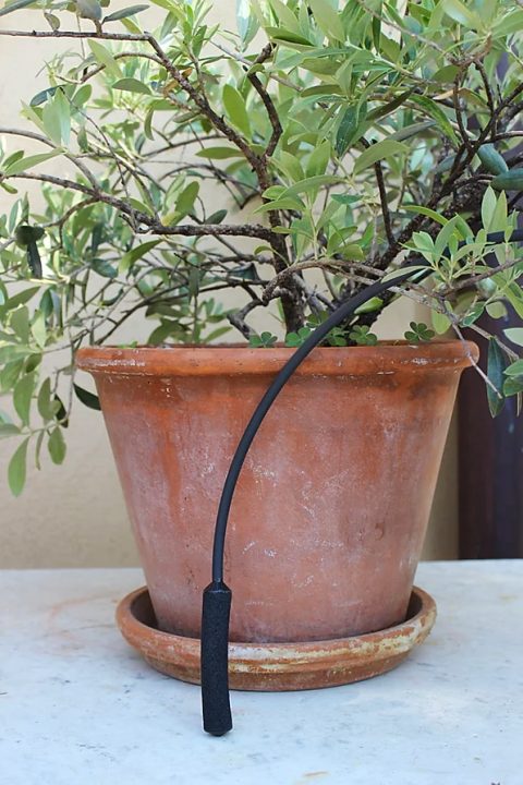 Best Irrigation System Deep Root Watering - California & Colorado